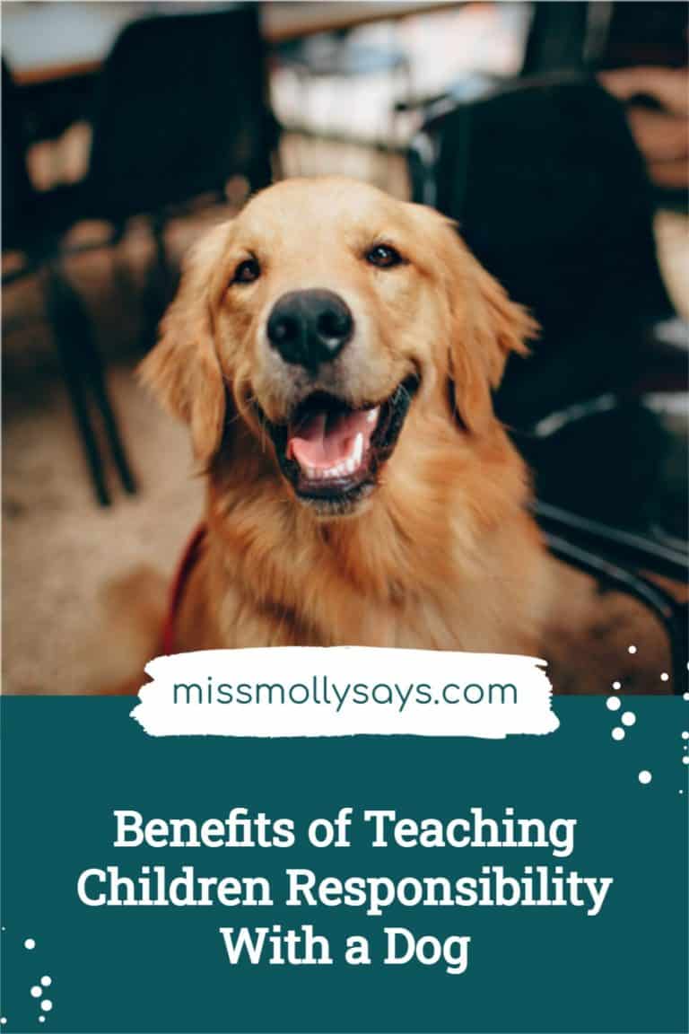 Benefits of Teaching Children Responsibility With a Dog - Miss Molly Says