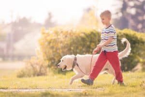 Benefits of Teaching Children Responsibility With a Dog - Miss Molly Says