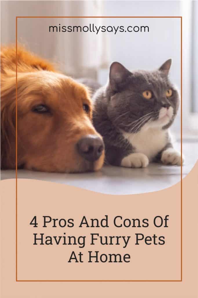 4 Pros And Cons Of Having Furry Pets At Home - Miss Molly Says