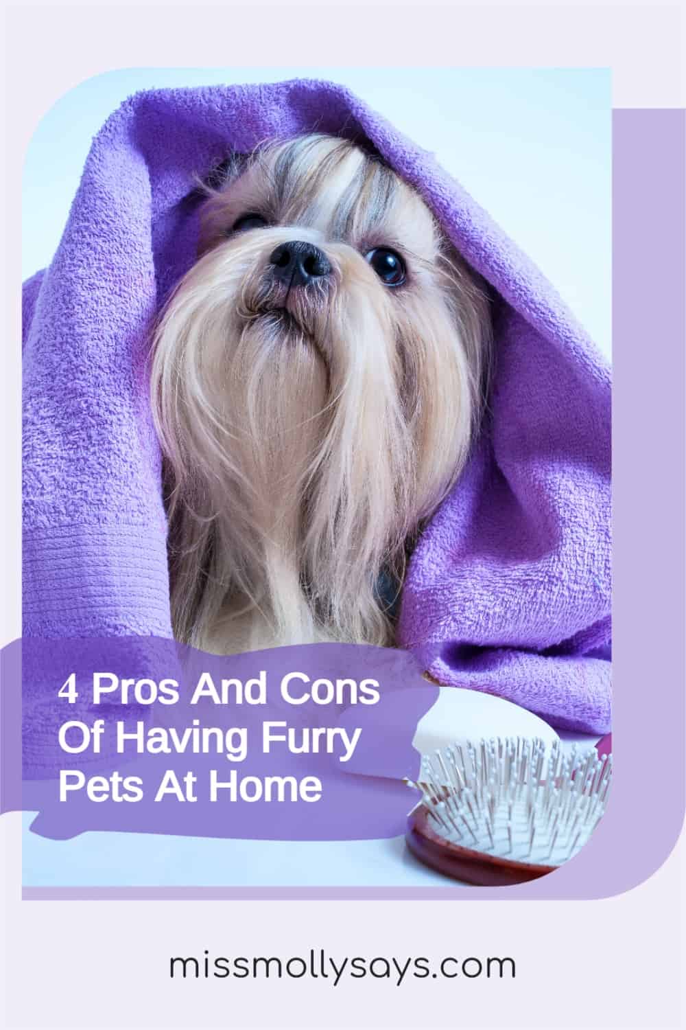 4 Pros And Cons Of Having Furry Pets At Home - Miss Molly Says