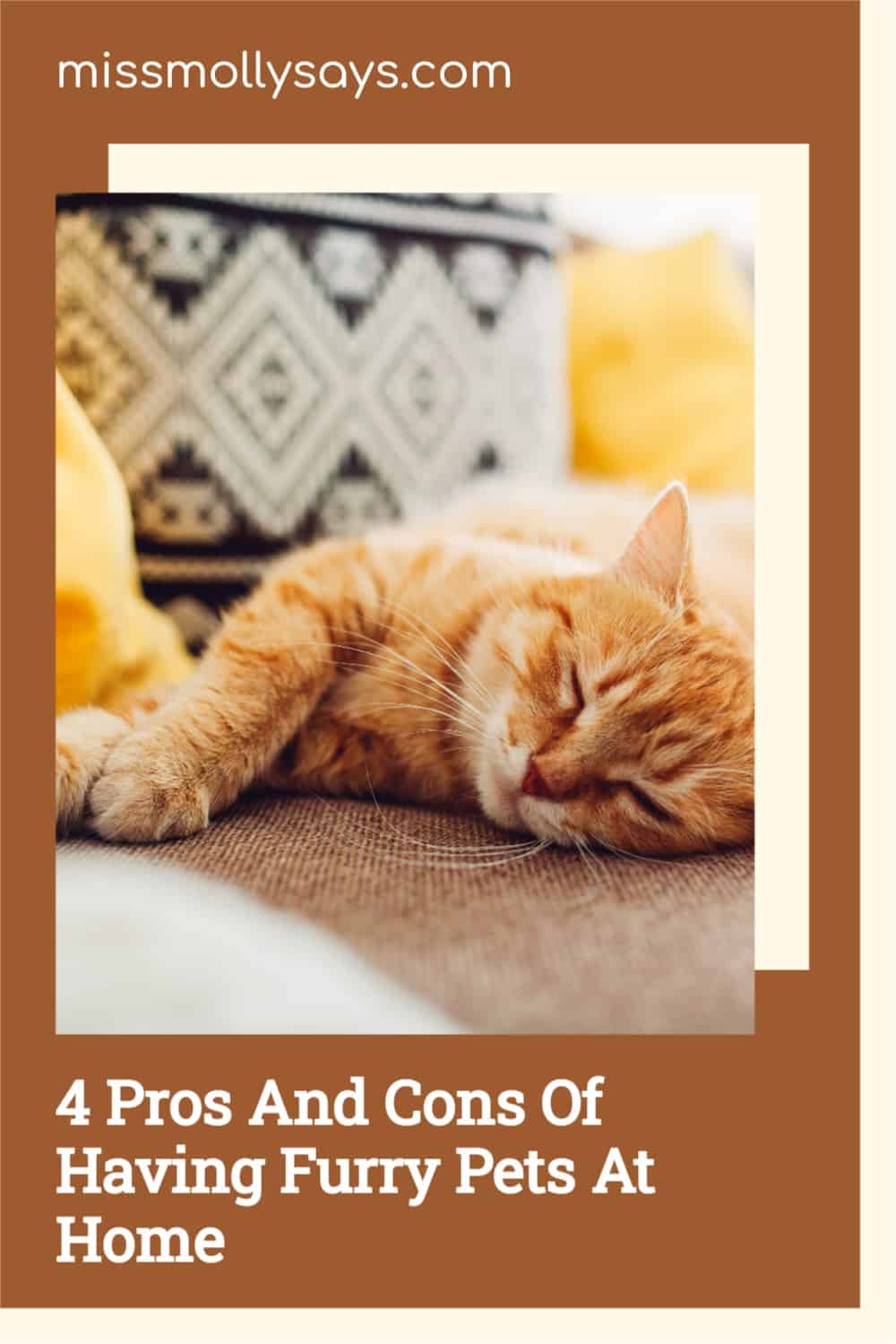 4 Pros And Cons Of Having Furry Pets At Home - Miss Molly Says
