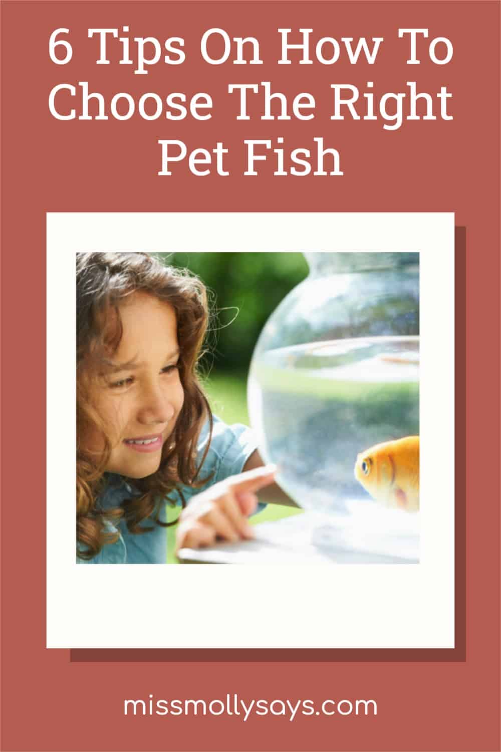 6 Tips On How To Choose The Right Pet Fish - Miss Molly Says