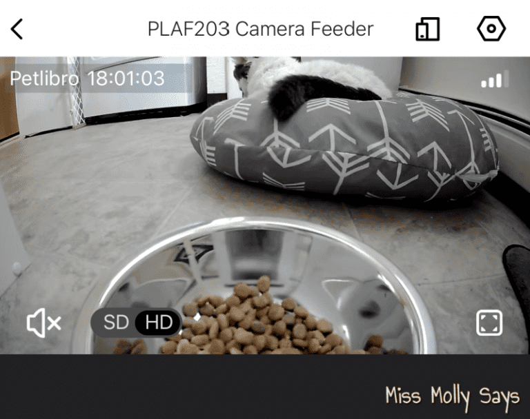 Monitor Your Pet's Food With Petlibro Granary Camera Monitoring Feeder ...