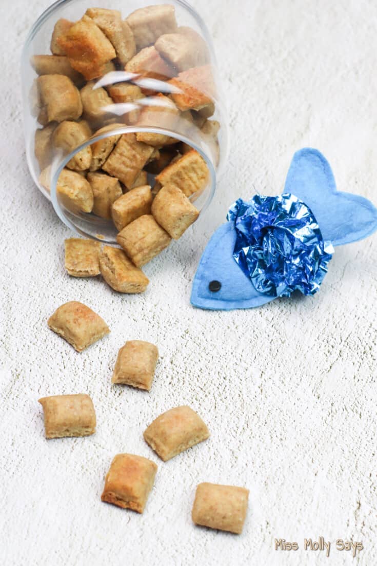 Homemade Cheesy Tuna Cat Treats your Cat will Meow For!