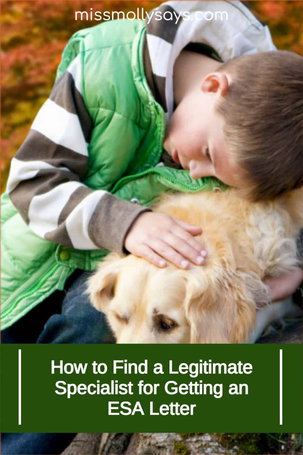 How to Find a Legitimate Specialist for Getting an ESA Letter - Miss ...