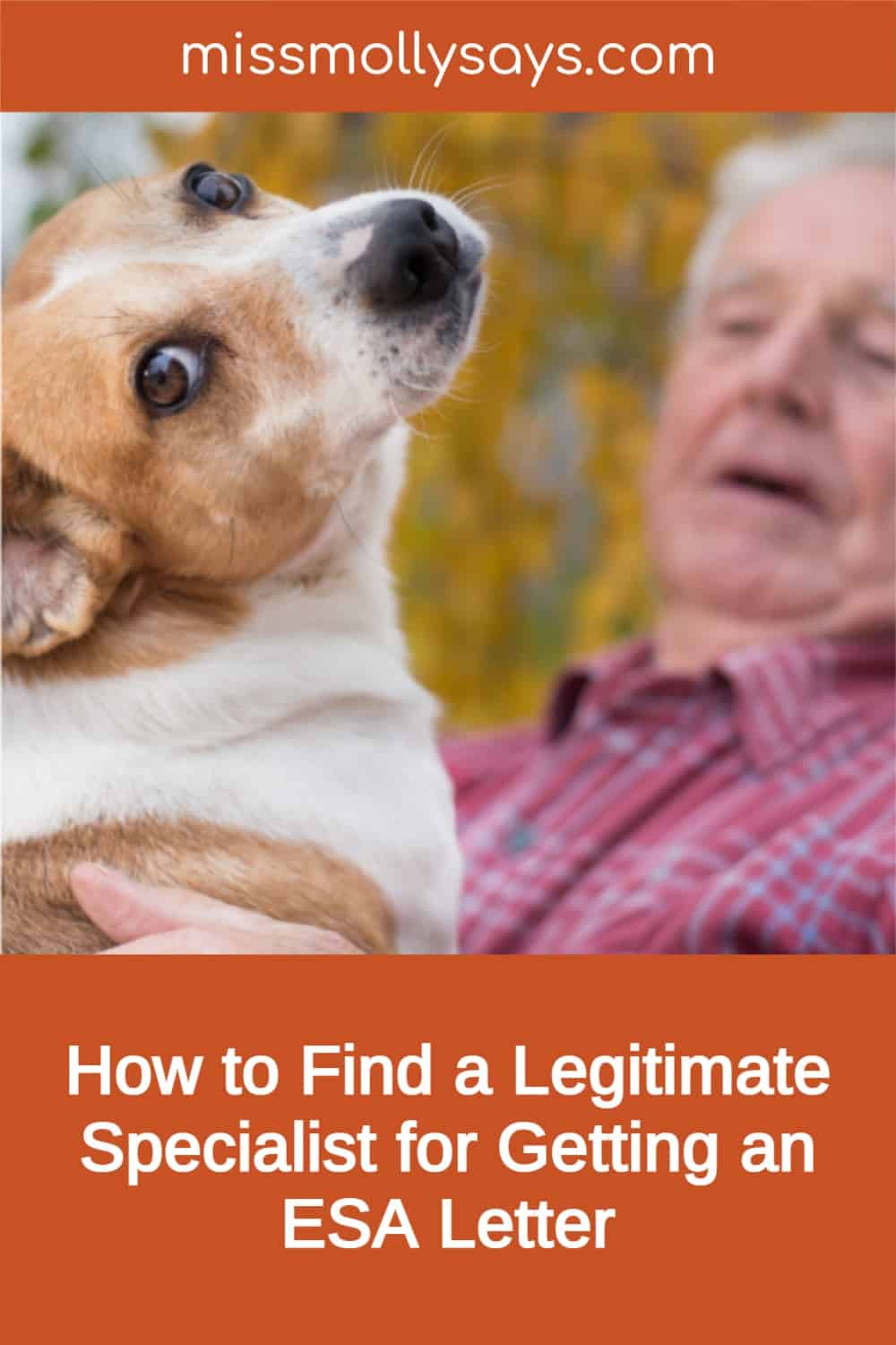 How to Find a Legitimate Specialist for Getting an ESA Letter - Miss ...