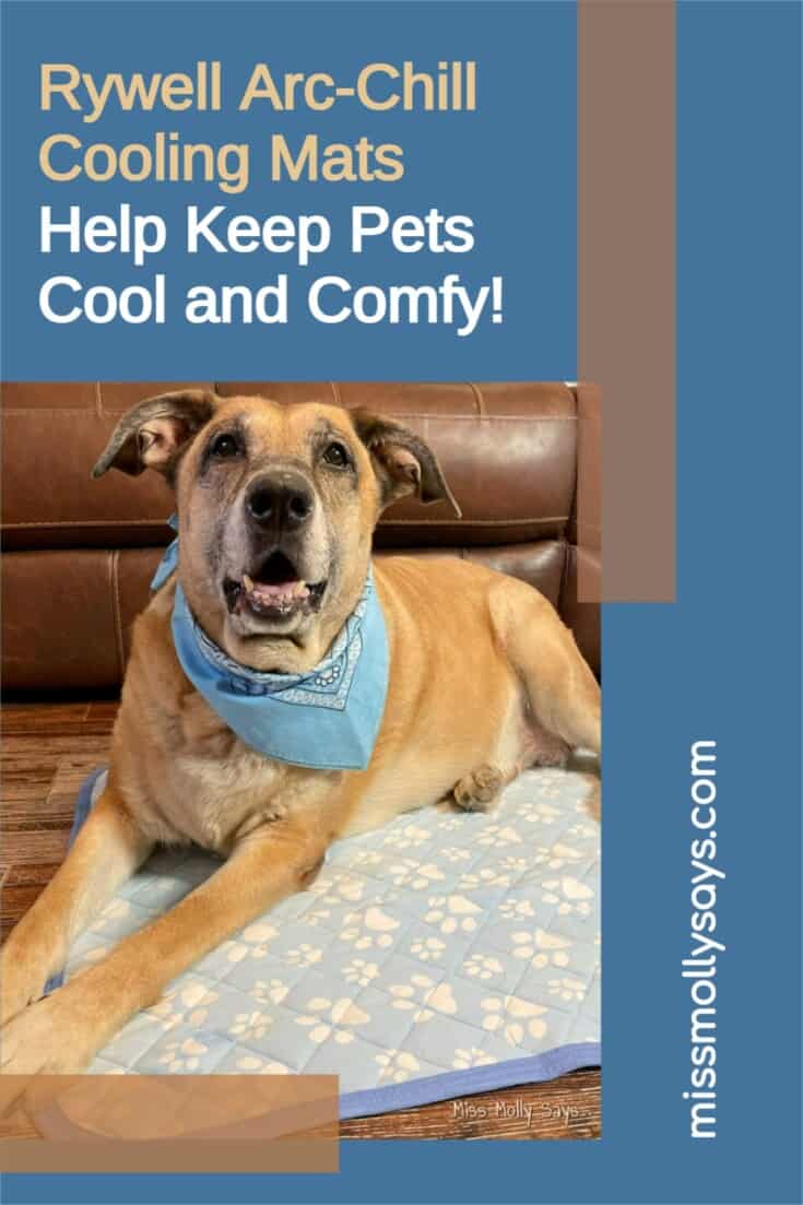 Rywell Arc-Chill Cooling Mats Help Keep Pets Cool and Comfy! - Miss ...