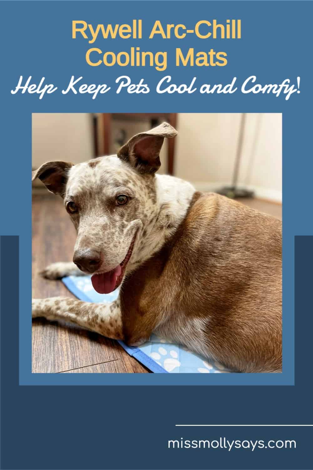 Rywell Arc-Chill Cooling Mats Help Keep Pets Cool and Comfy! - Miss ...