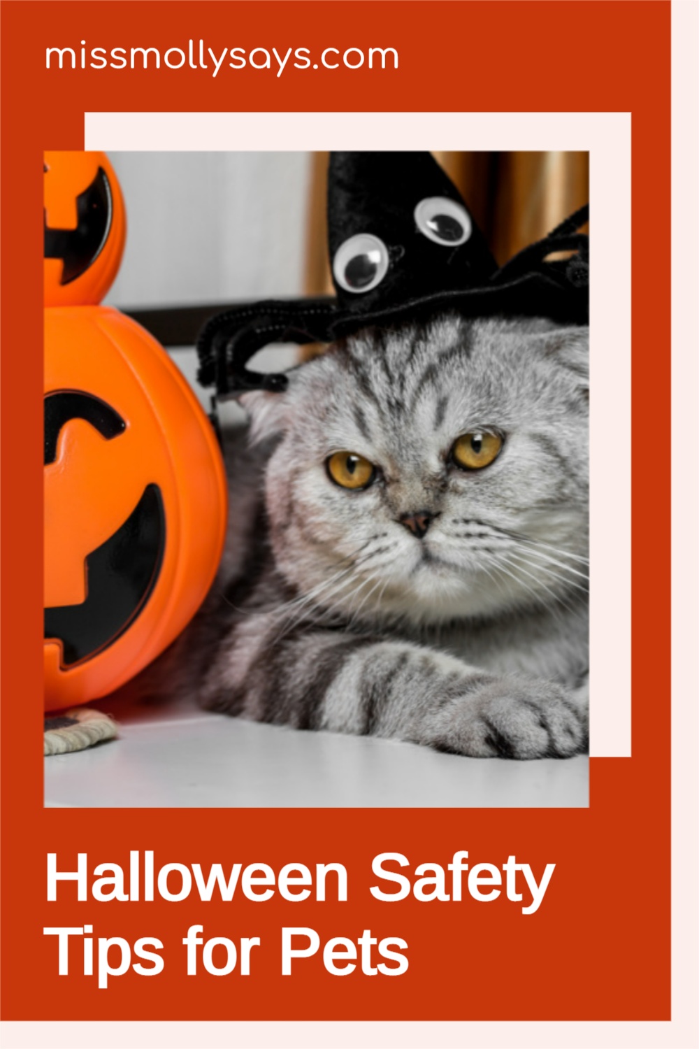 Halloween Safety Tips for Pets - Miss Molly Says