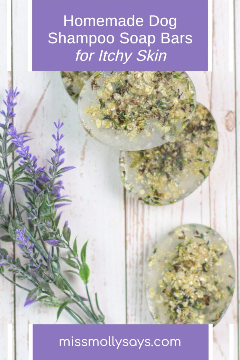 Homemade Dog Shampoo Soap Bars for Itchy Skin