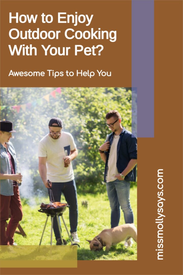 How to Enjoy Outdoor Cooking With Your Pet? Awesome Tips to Help You ...