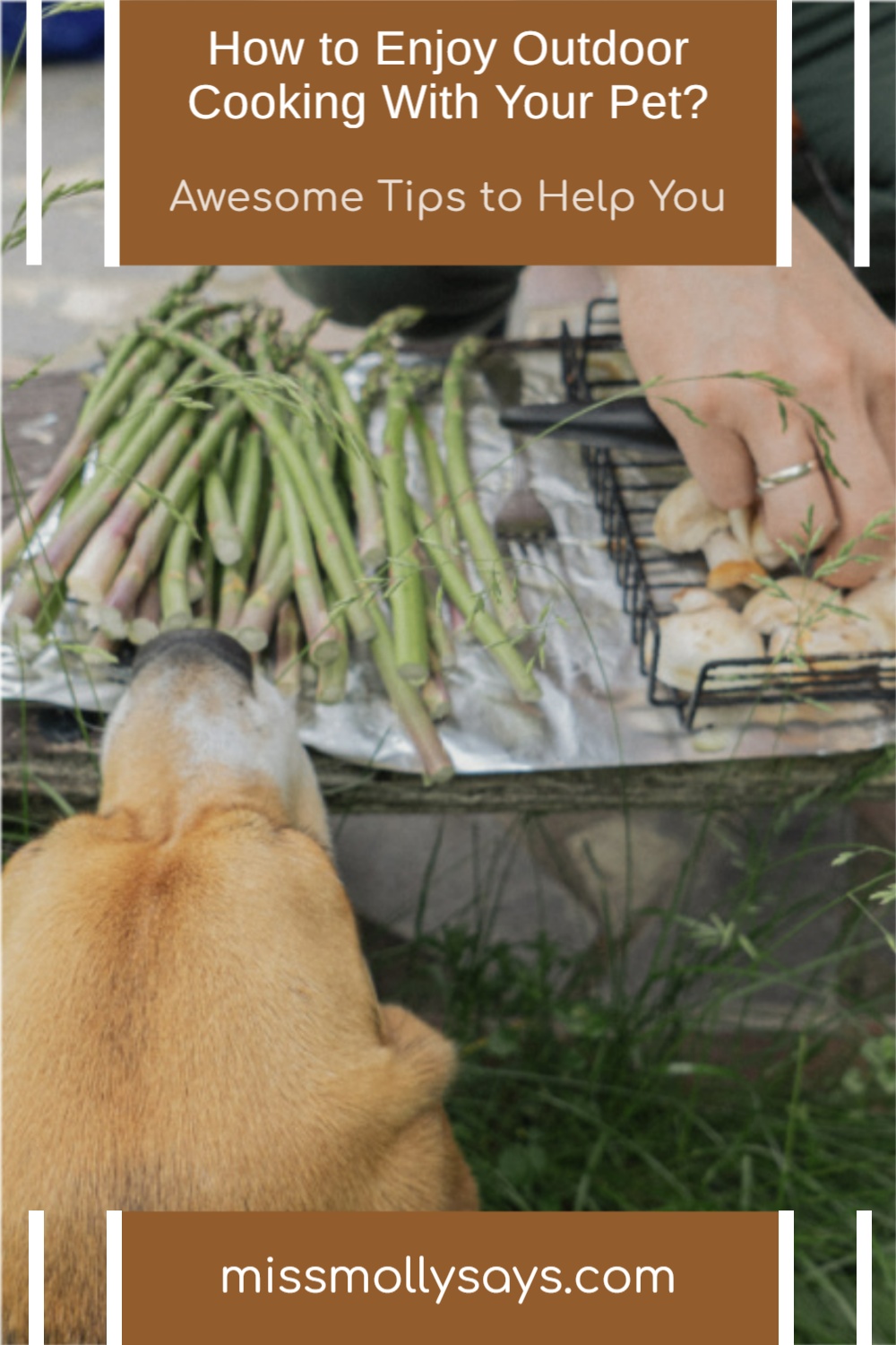 How to Enjoy Outdoor Cooking With Your Pet? Awesome Tips to Help You ...
