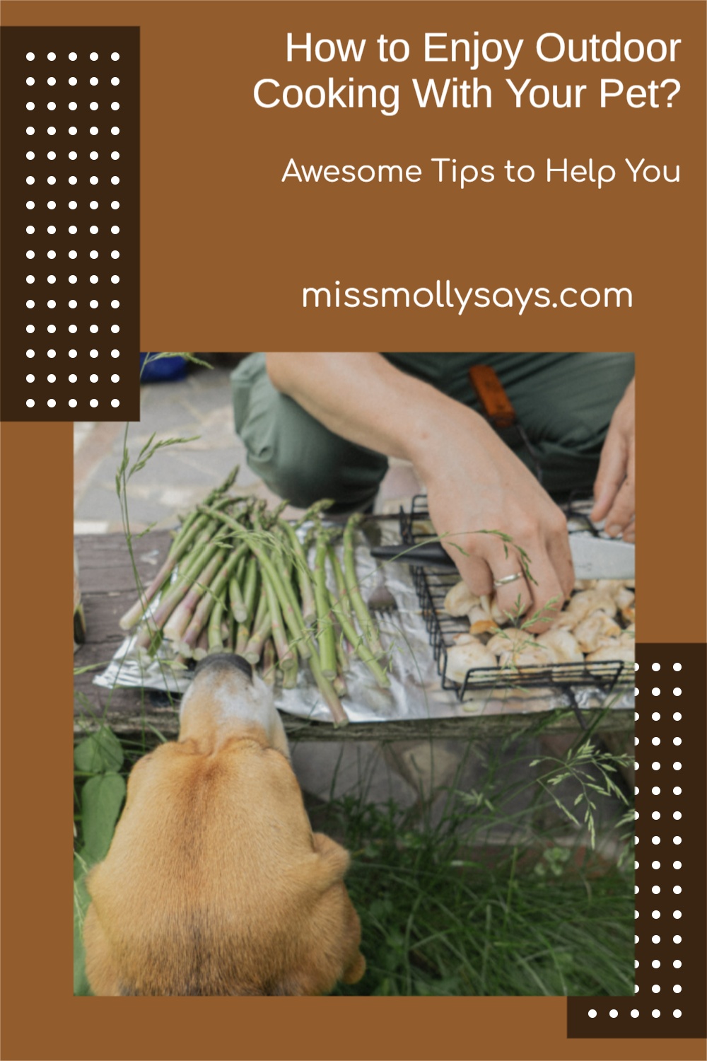 How to Enjoy Outdoor Cooking With Your Pet? Awesome Tips to Help You ...
