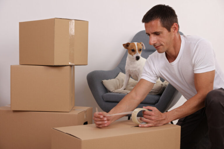 Tips for Moving with Your Pets - Miss Molly Says
