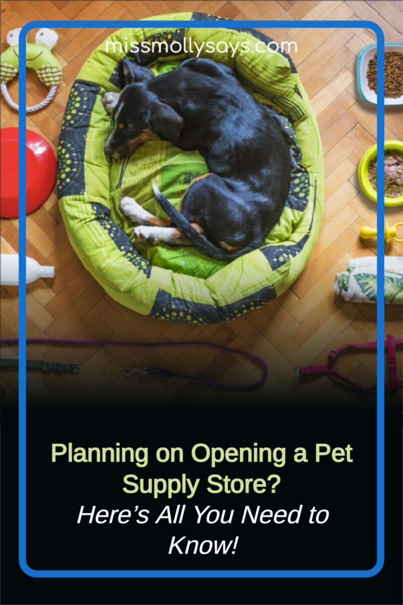 Planning on Opening a Pet Supply Store? Here’s All You Need to Know ...