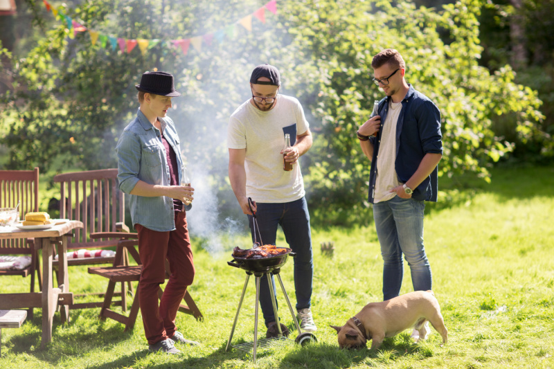 How to Enjoy Outdoor Cooking With Your Pet? Awesome Tips to Help You ...