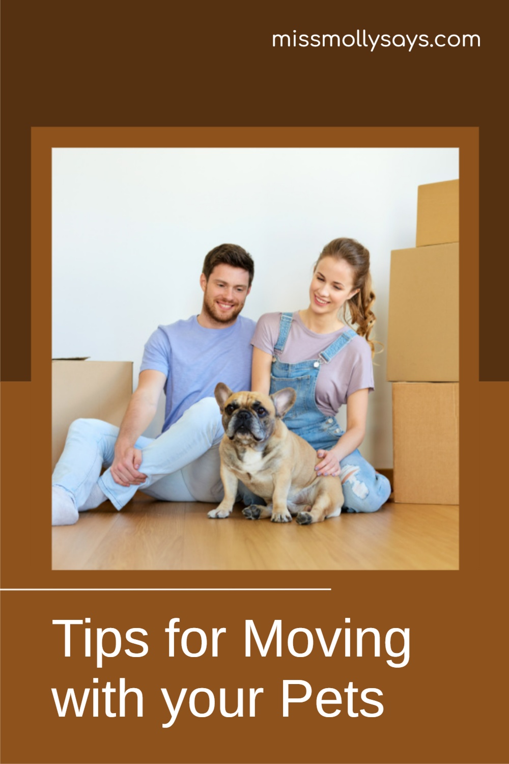 Tips for Moving with Your Pets - Miss Molly Says