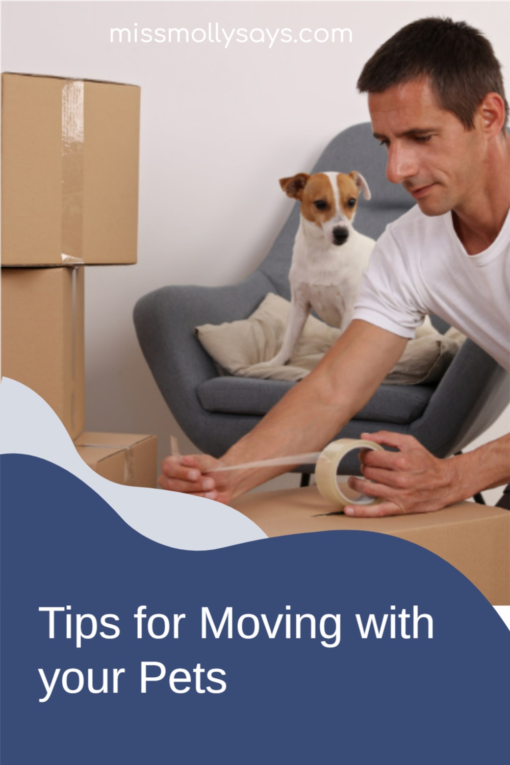 Tips for Moving with Your Pets - Miss Molly Says