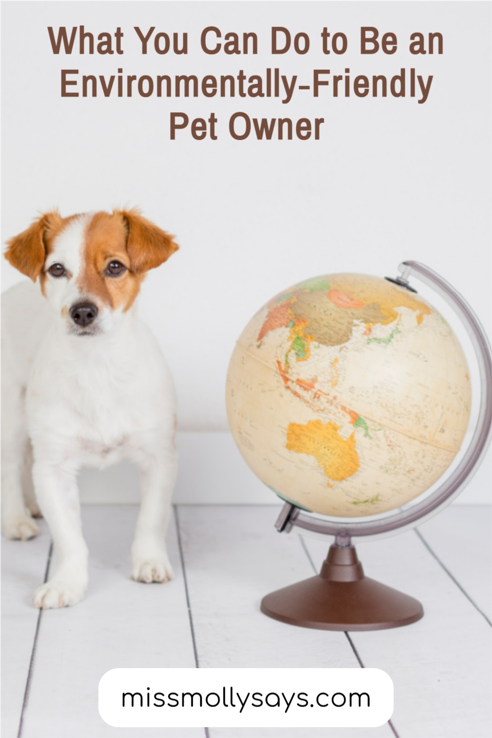 What You Can Do to Be an Environmentally-Friendly Pet Owner