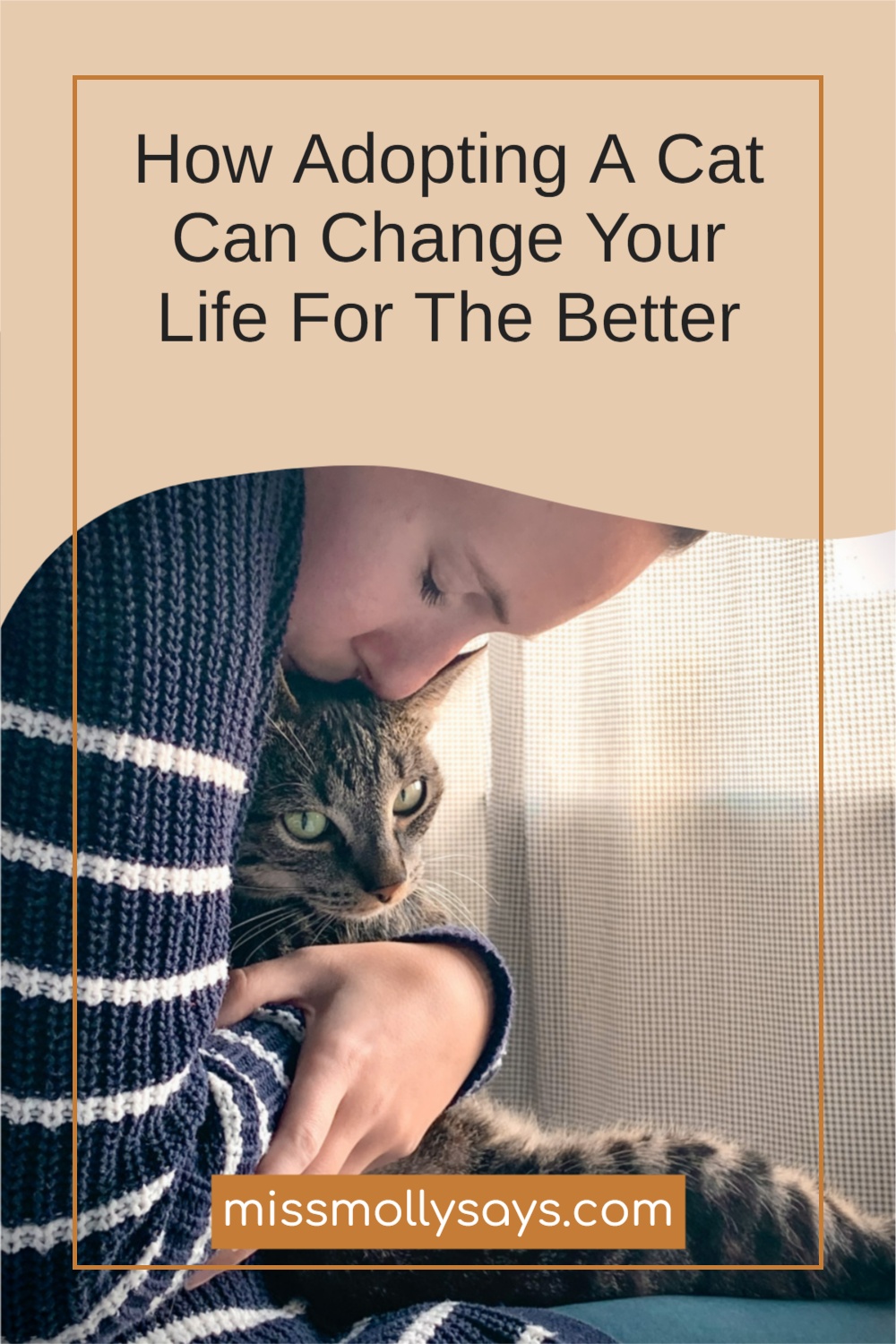 How Adopting A Cat Can Change Your Life For The Better - Miss Molly Says