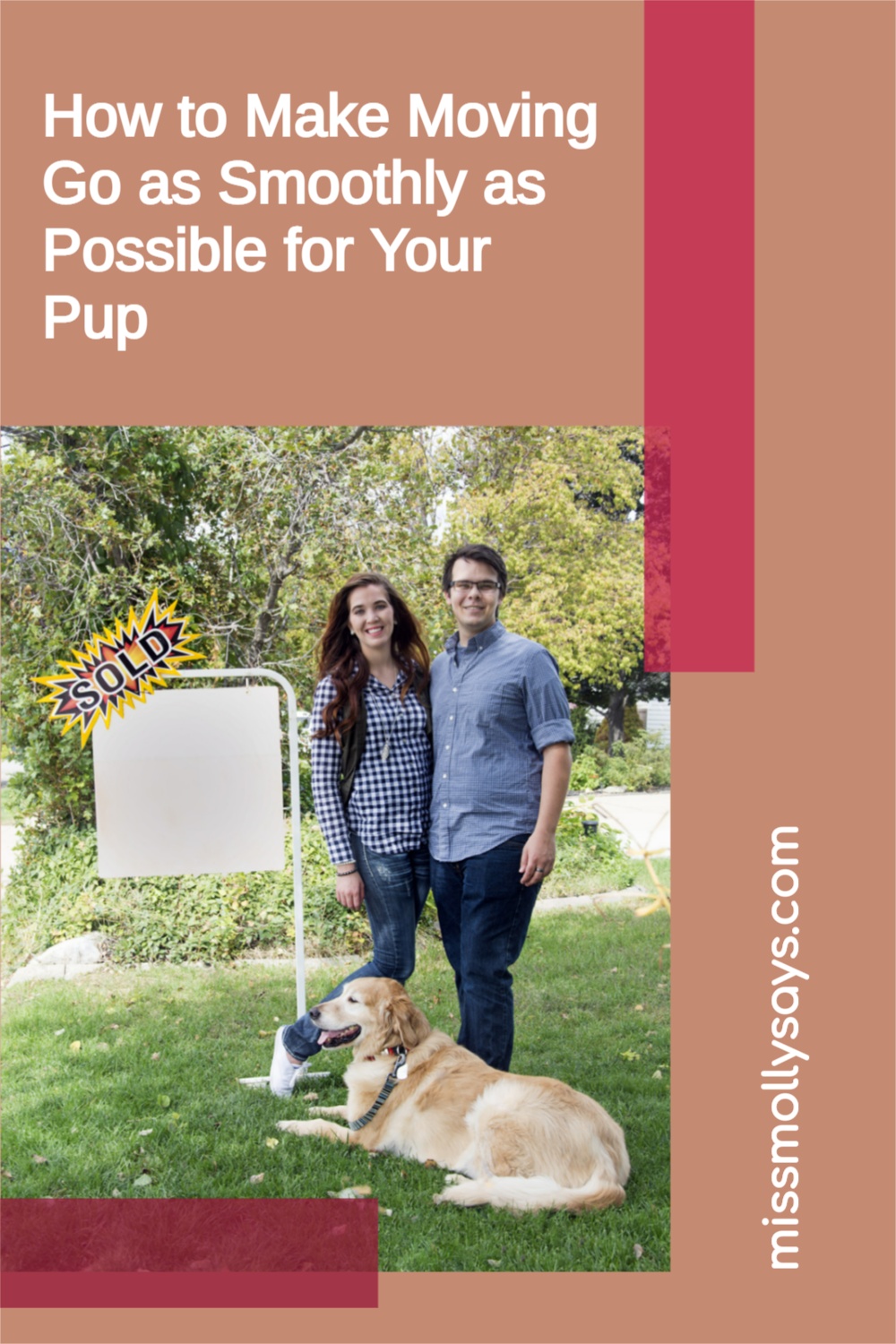 How to Make Moving Go as Smoothly as Possible for Your Pup