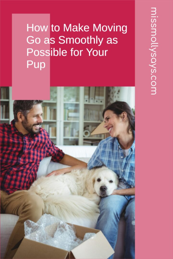 How to Make Moving Go as Smoothly as Possible for Your Pup