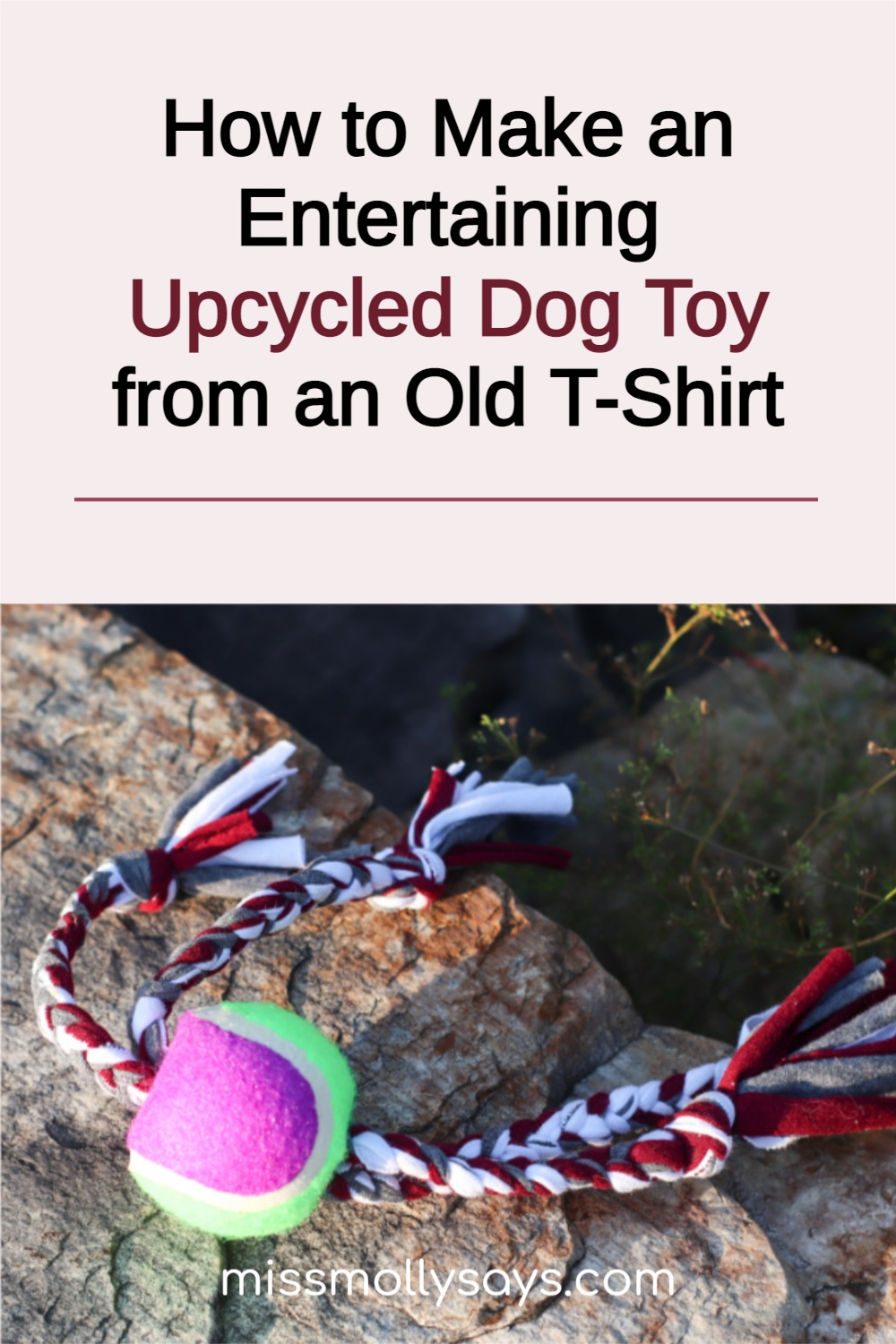 How to Make an Entertaining Upcycled Dog Toy from an Old T-Shirt