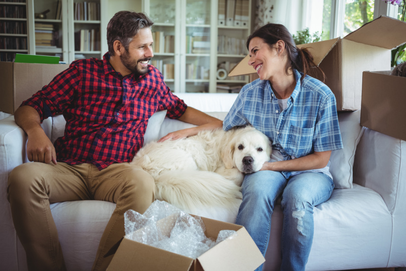 How to Make Moving Go as Smoothly as Possible for Your Pup