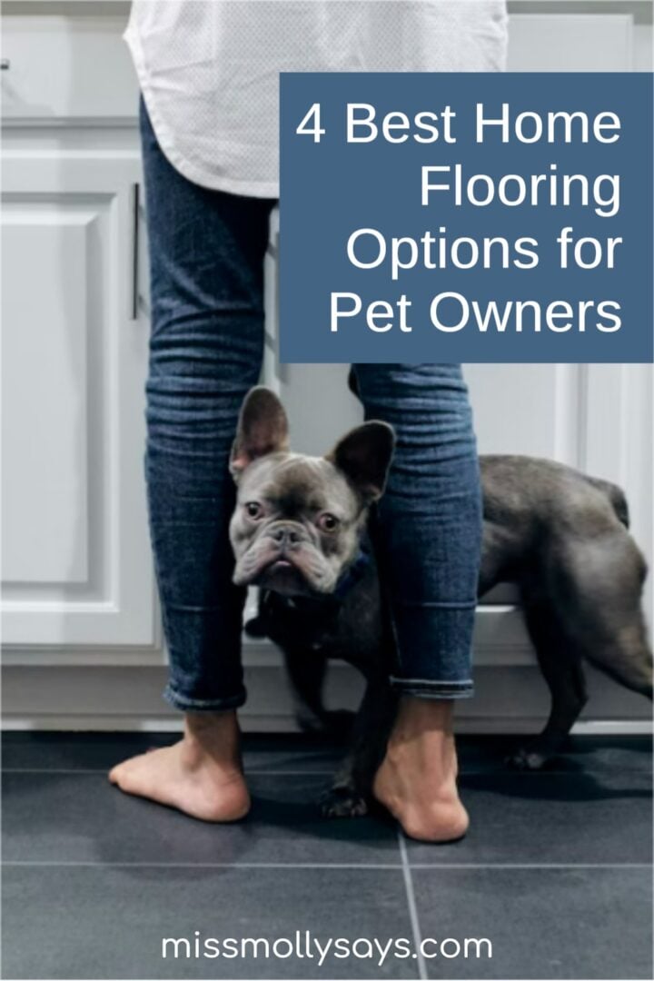 4 Best Home Flooring Options for Pet Owners - Miss Molly Says