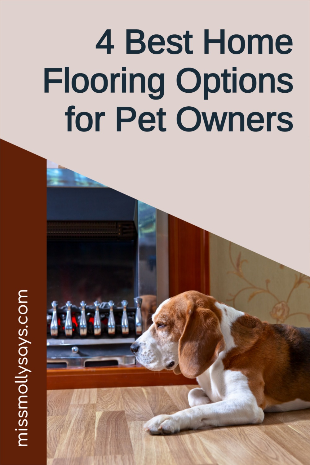 4 Best Home Flooring Options for Pet Owners - Miss Molly Says