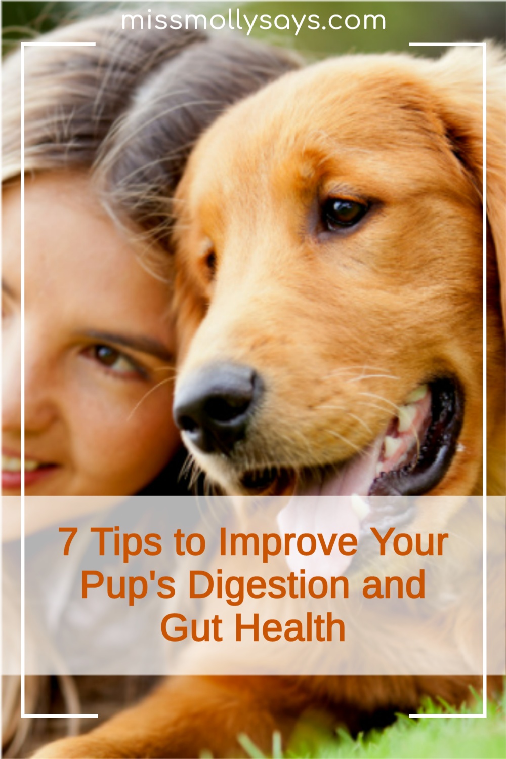 7 Tips to Improve Your Pup's Digestion and Gut Health - Miss Molly Says