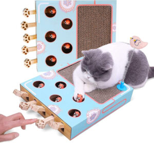 6 of the Best Cat Enrichment Toys - Miss Molly Says