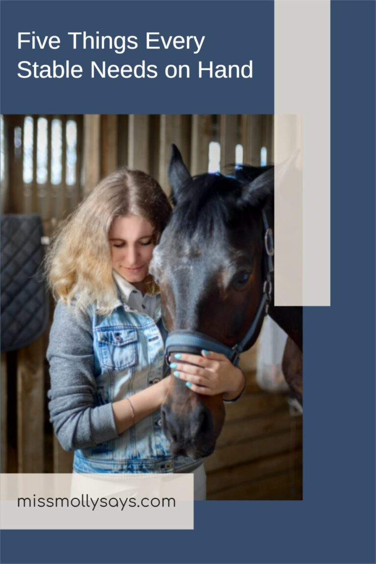 Five Things Every Stable Needs on Hand - Miss Molly Says