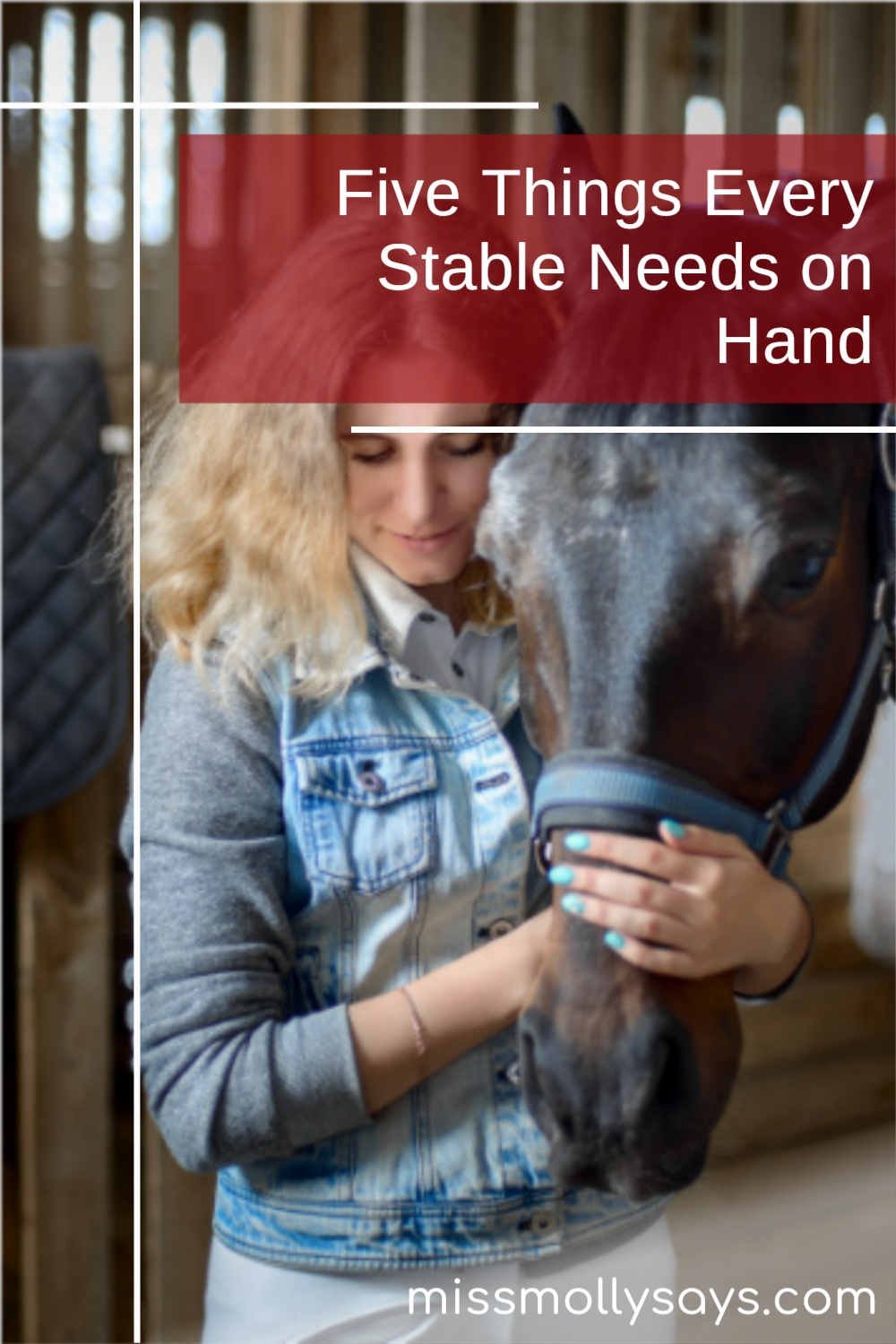 Five Things Every Stable Needs on Hand - Miss Molly Says