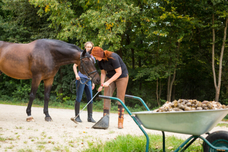 Five Things Every Stable Needs on Hand - Miss Molly Says