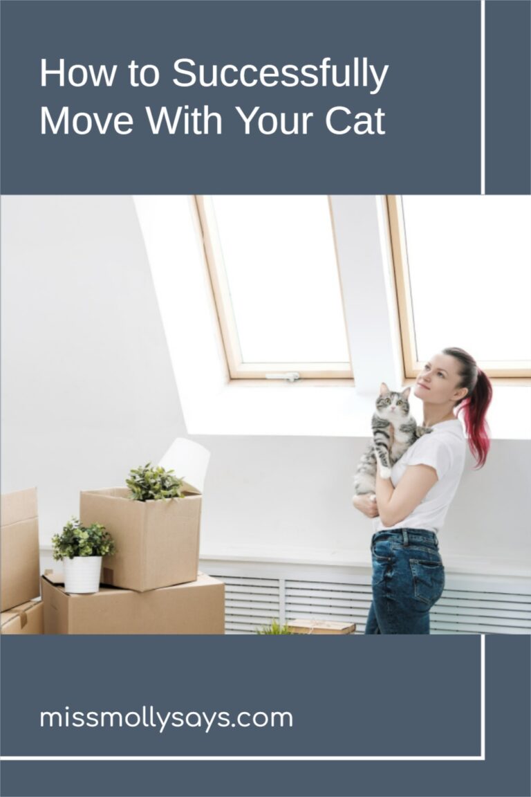 How to Successfully Move With Your Cat - Miss Molly Says
