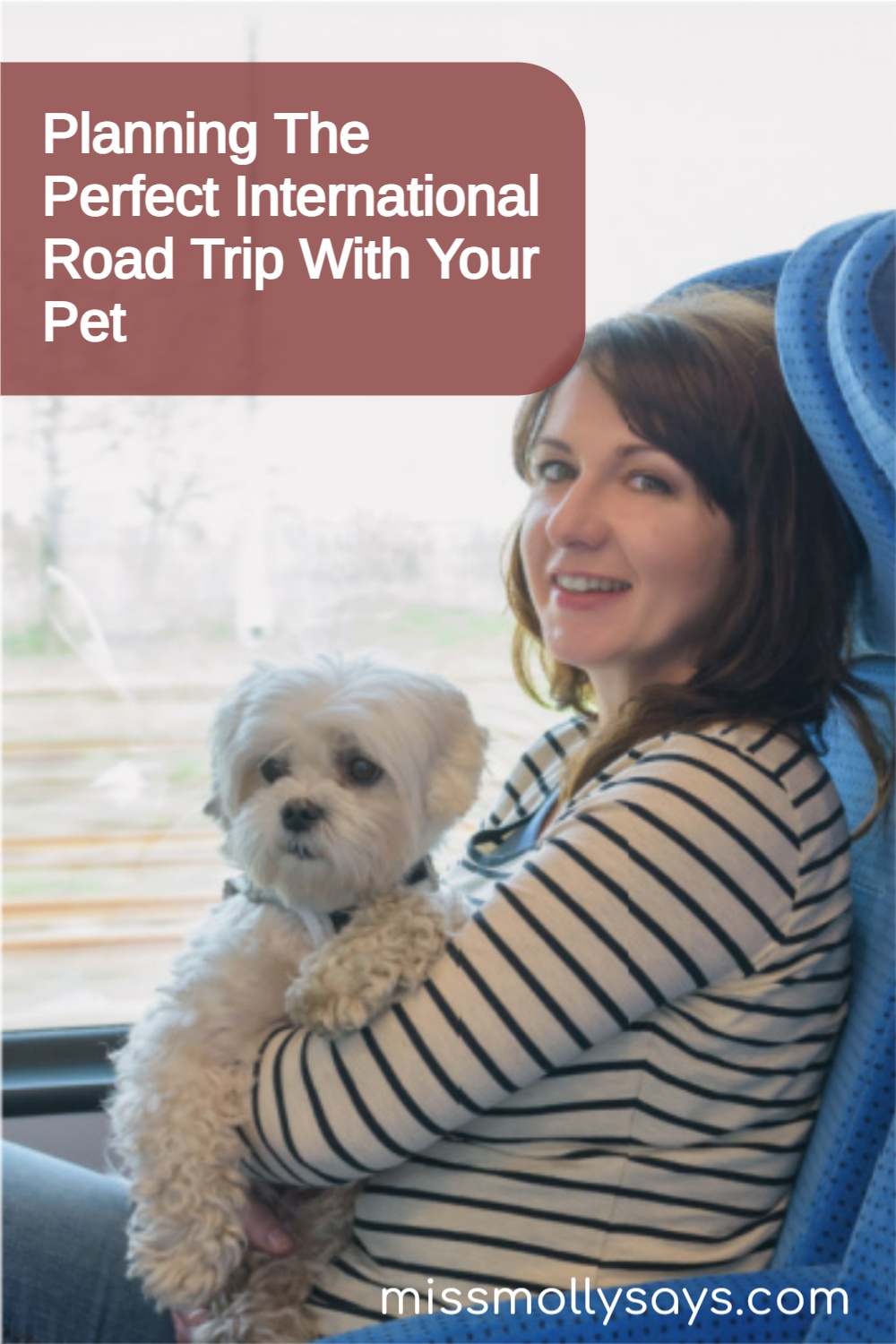 Planning The Perfect International Road Trip With Your Pet