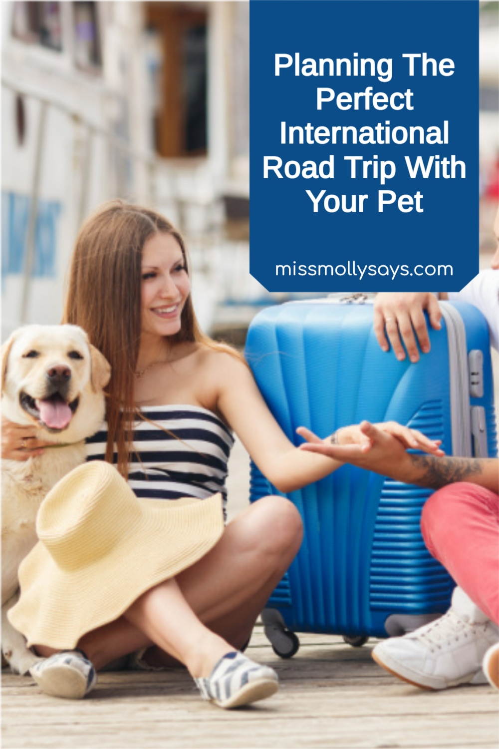 Planning The Perfect International Road Trip With Your Pet