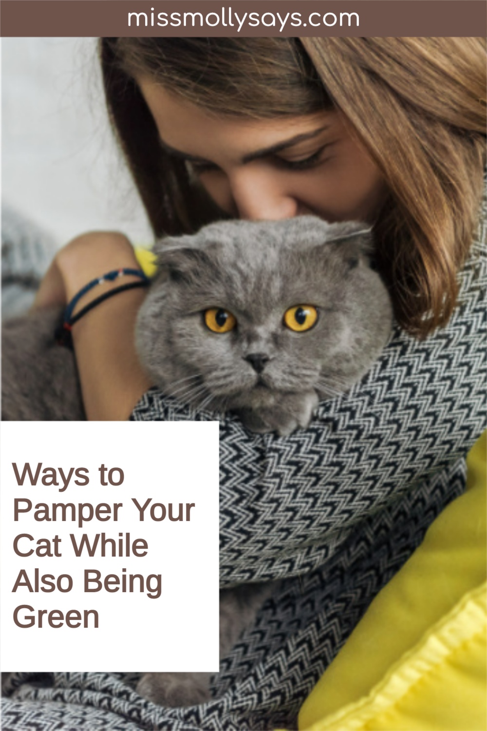 Ways to Pamper Your Cat While Also Being Green
