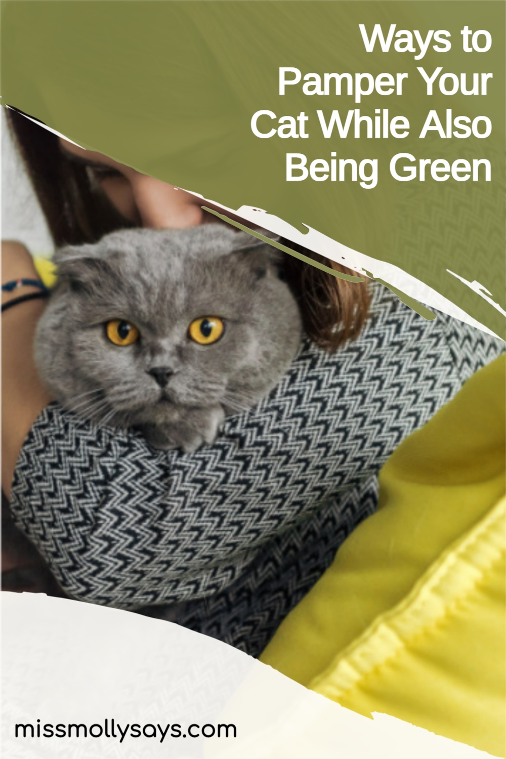 Ways to Pamper Your Cat While Also Being Green