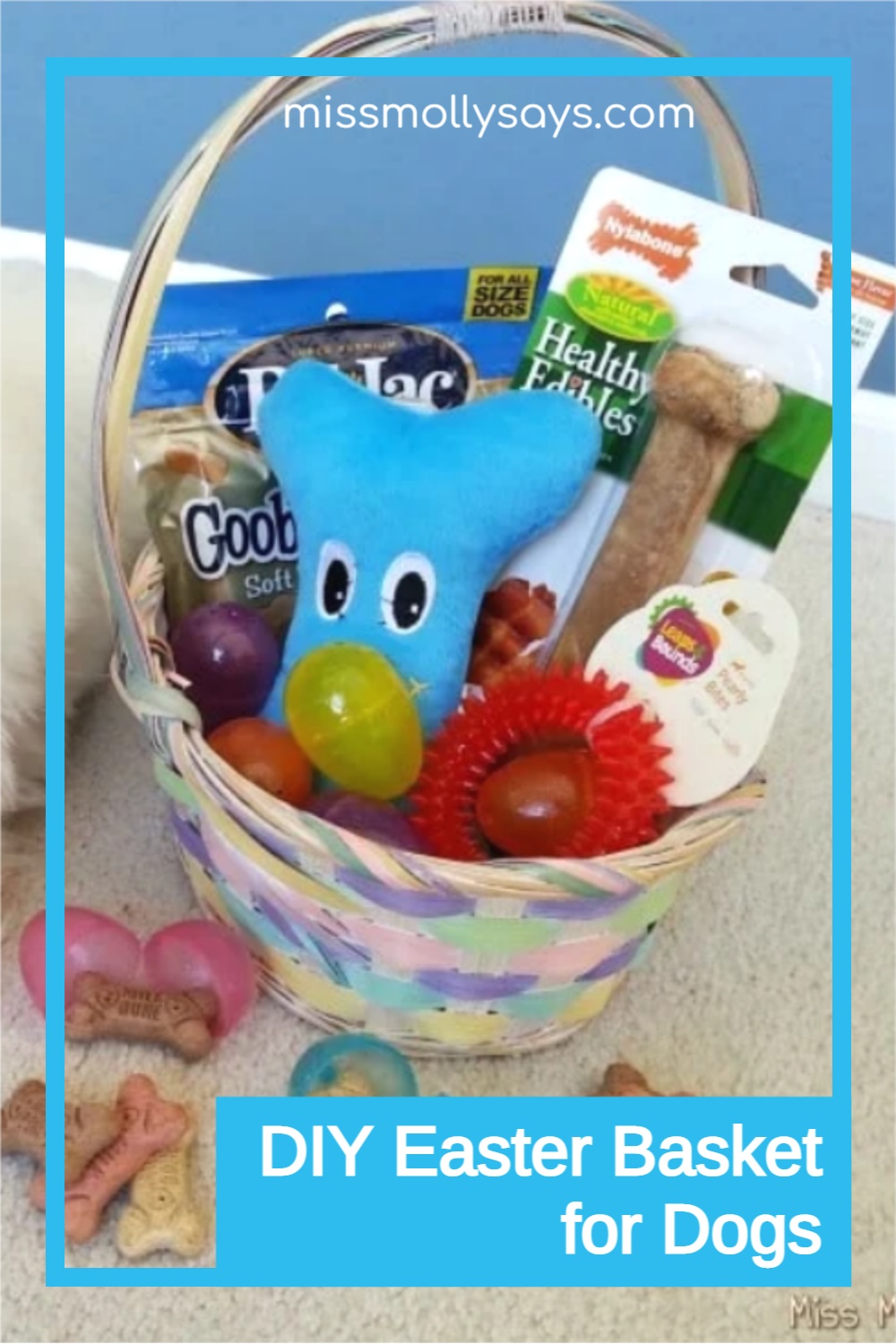 DIY Easter Basket for Dogs - Miss Molly Says