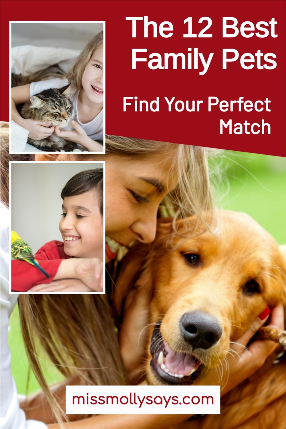 The 12 Best Family Pets: Find Your Perfect Match