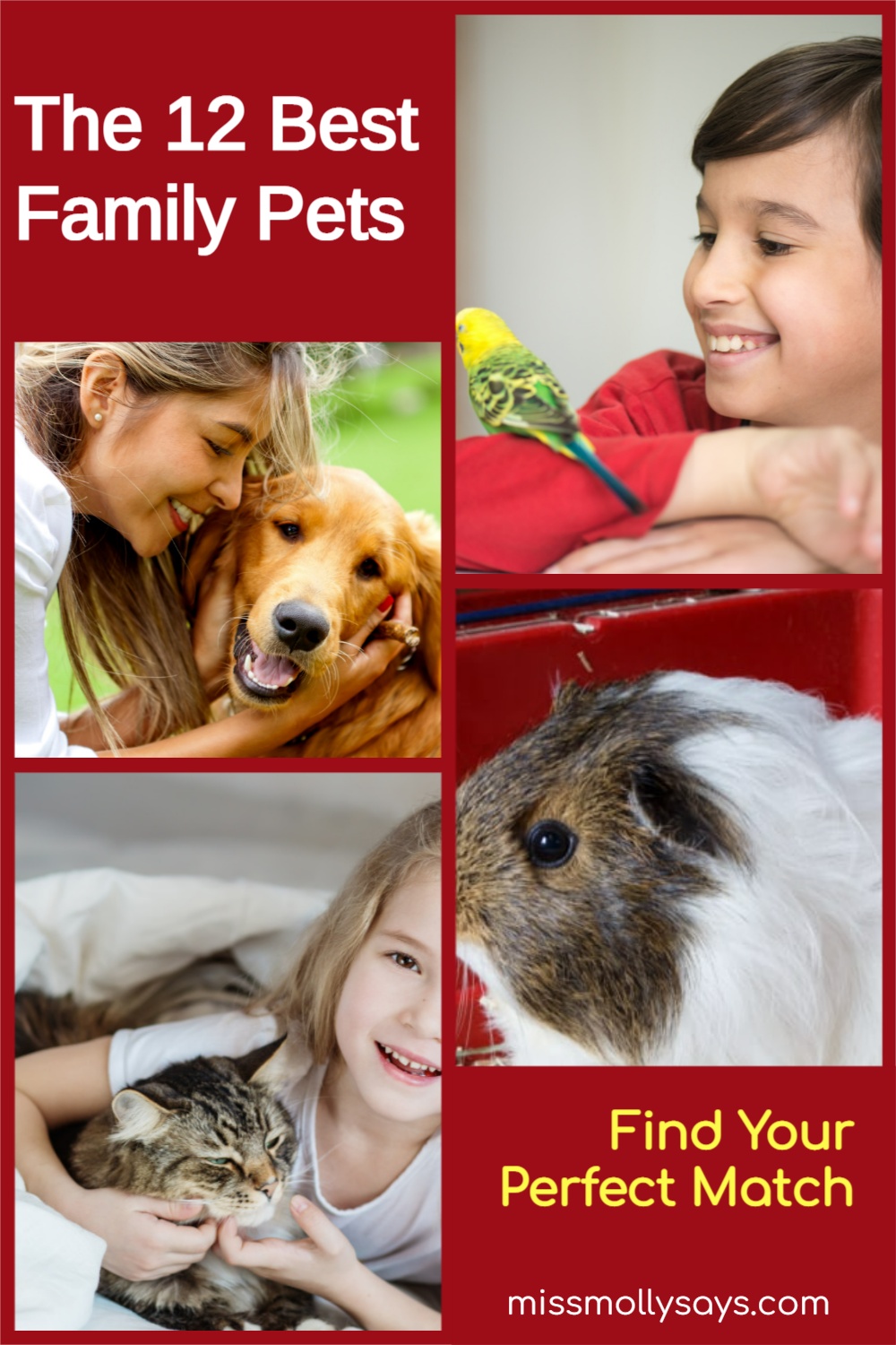 The 12 Best Family Pets: Find Your Perfect Match