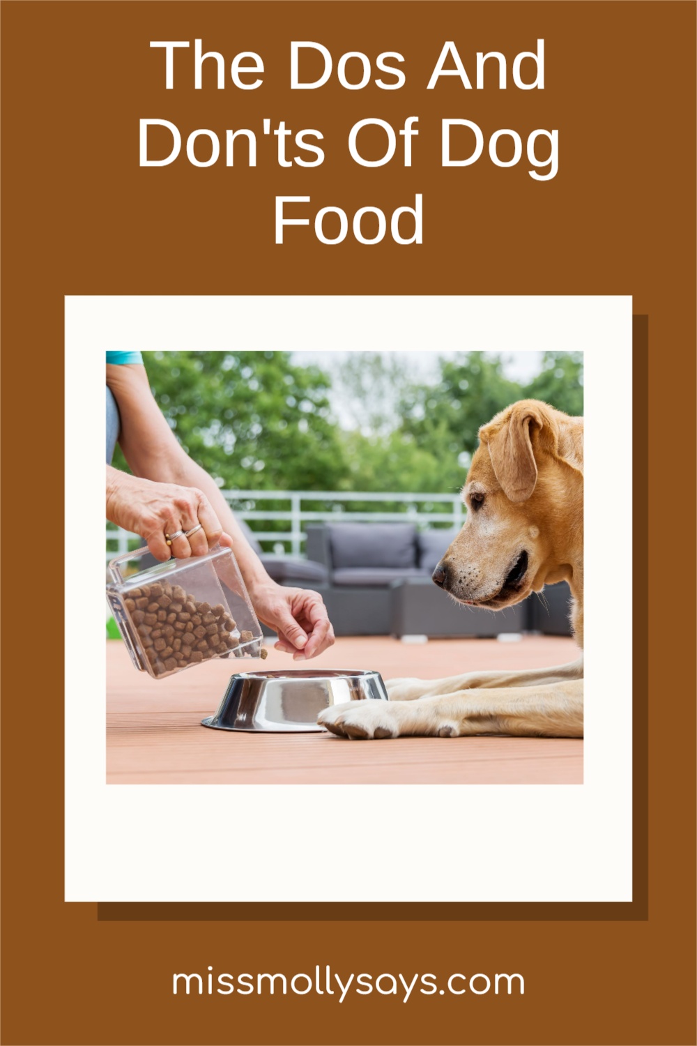 The Dos And Don'ts Of Dog Food - Miss Molly Says