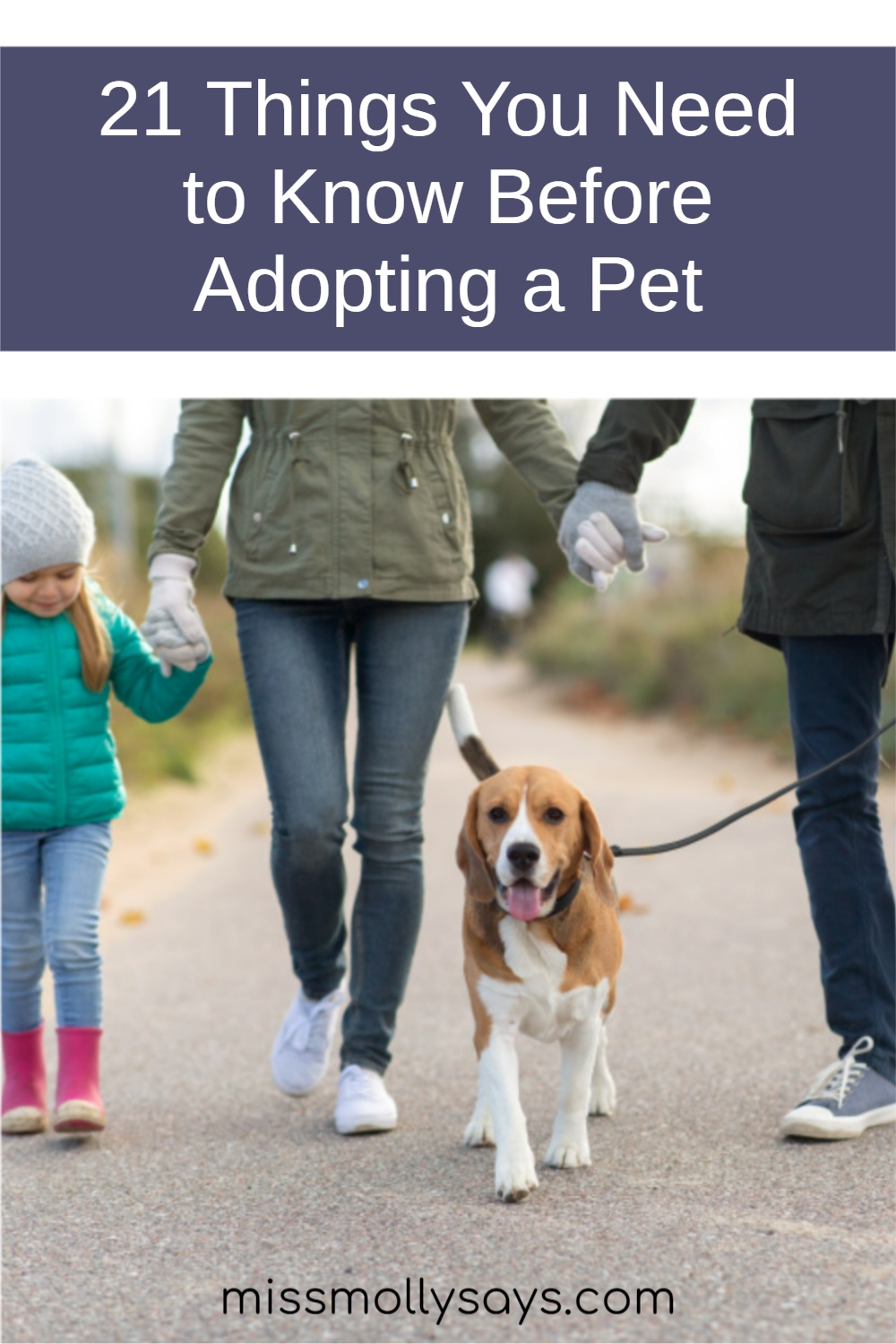21 Things You Need to Know Before Adopting a Pet