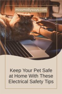 Keep Your Pet Safe at Home With These Electrical Safety Tips
