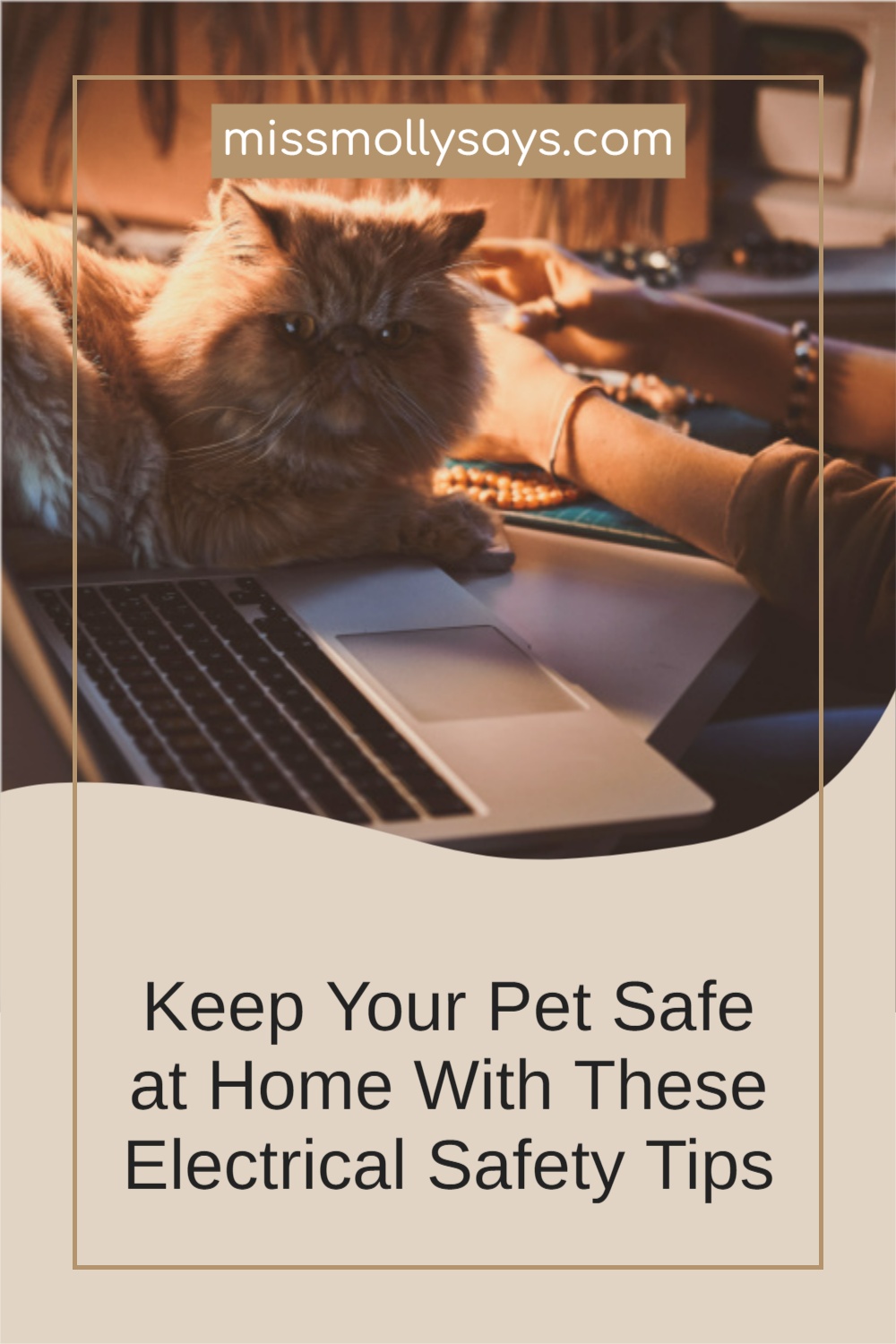 Keep Your Pet Safe at Home With These Electrical Safety Tips
