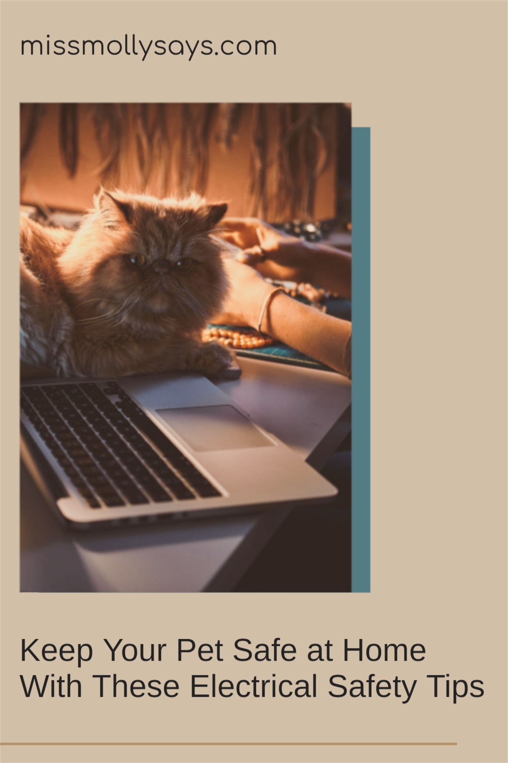 Keep Your Pet Safe at Home With These Electrical Safety Tips