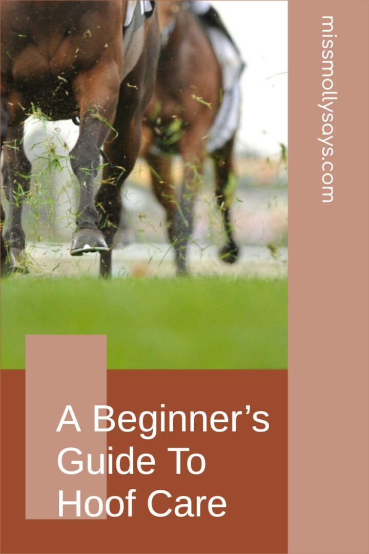 A Beginner’s Guide To Hoof Care - Miss Molly Says