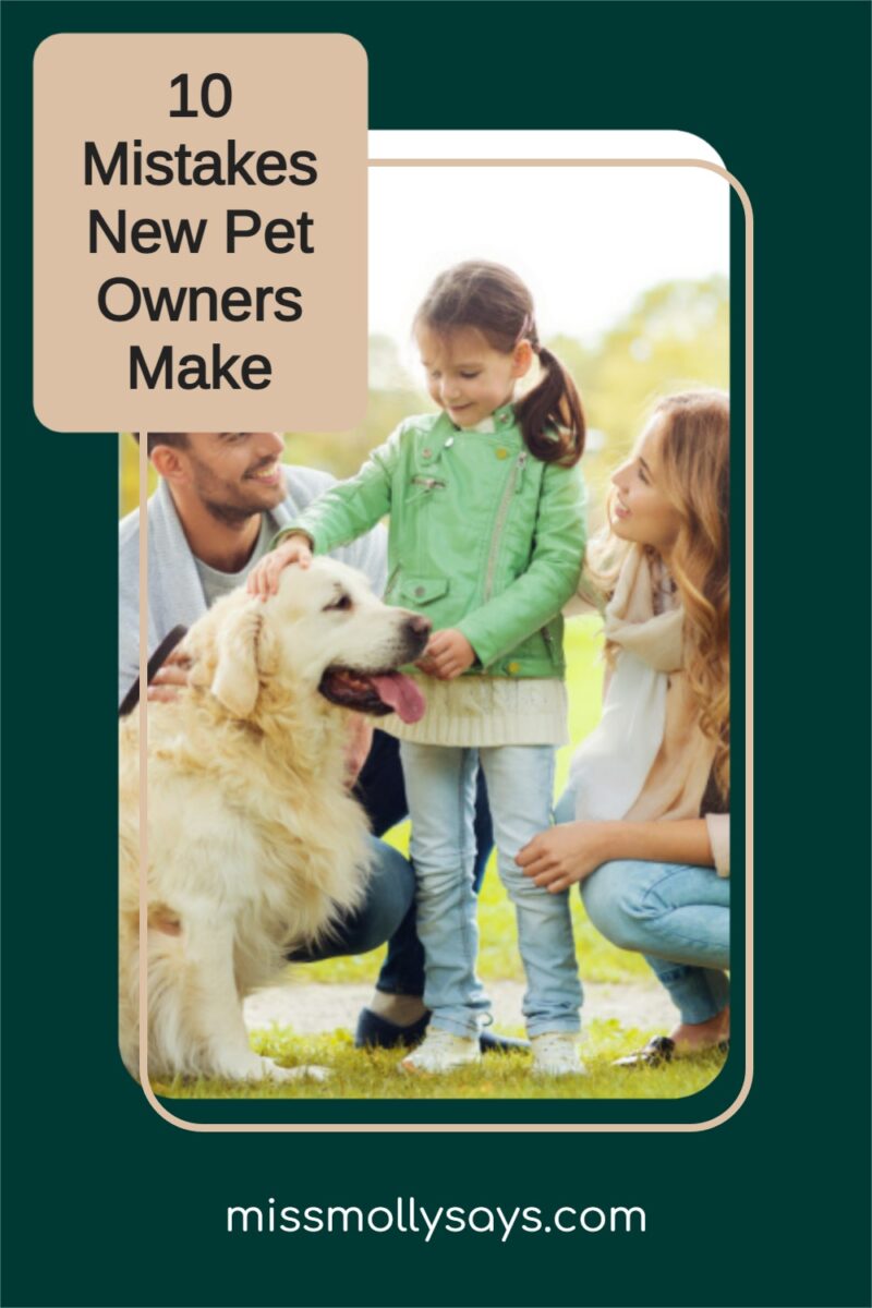 10 Mistakes New Pet Owners Make - Miss Molly Says